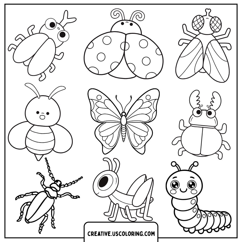 Free Insects Coloring Pages PDF Printables
